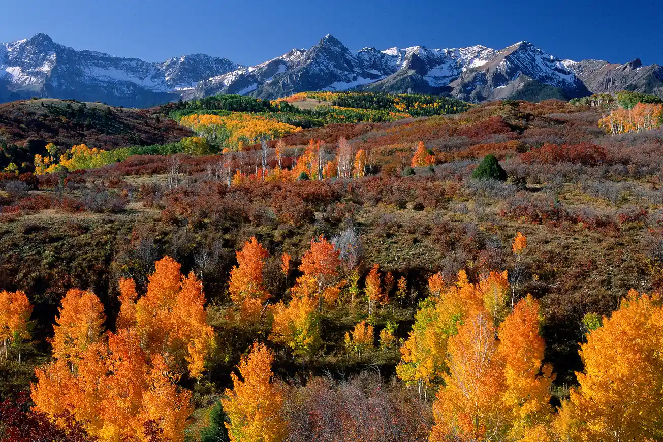 Colorado Fall Photography Workshop | Aspen Forests & Mountain Landscapes